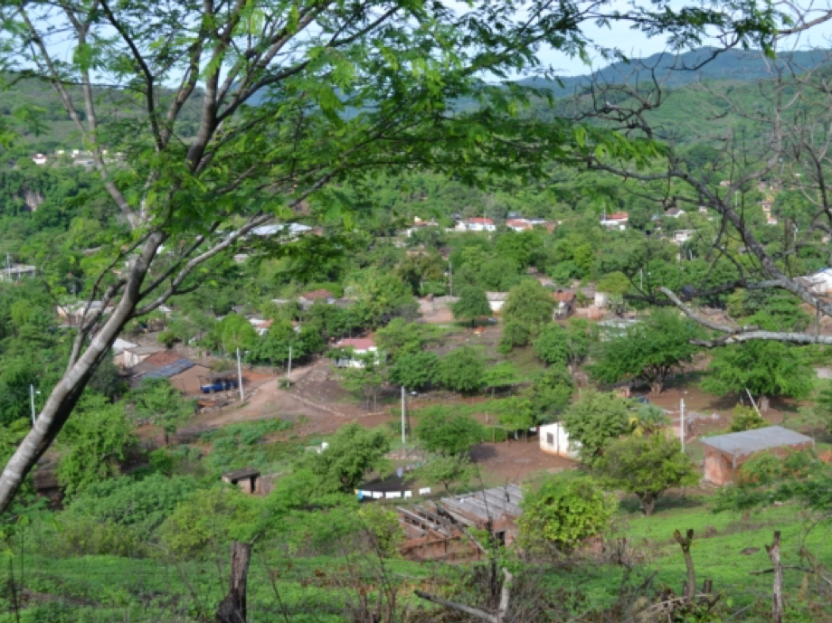 Náayeri/Náayari/Tañíuka (cora) – AMLA